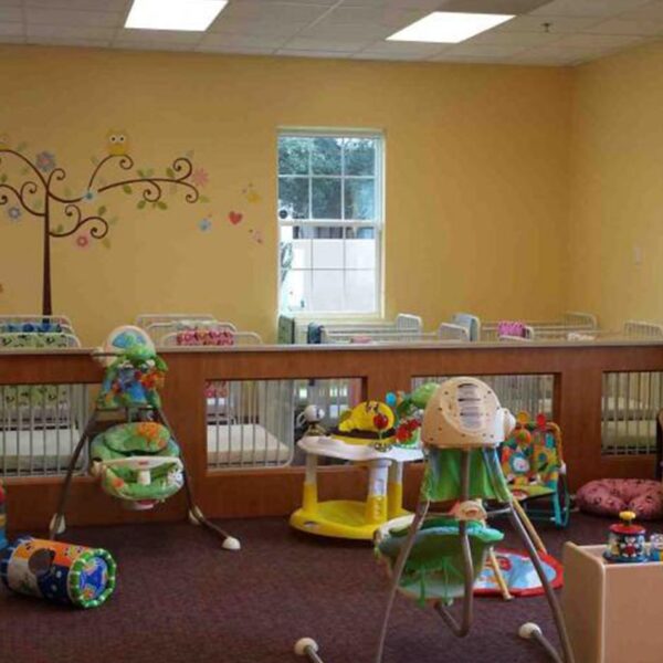 Ladybird Academy of Dr. Phillips - Ladybird Academy: Award-Winning ...